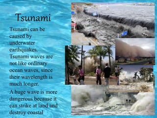 Natural disasters Group2 | PPT