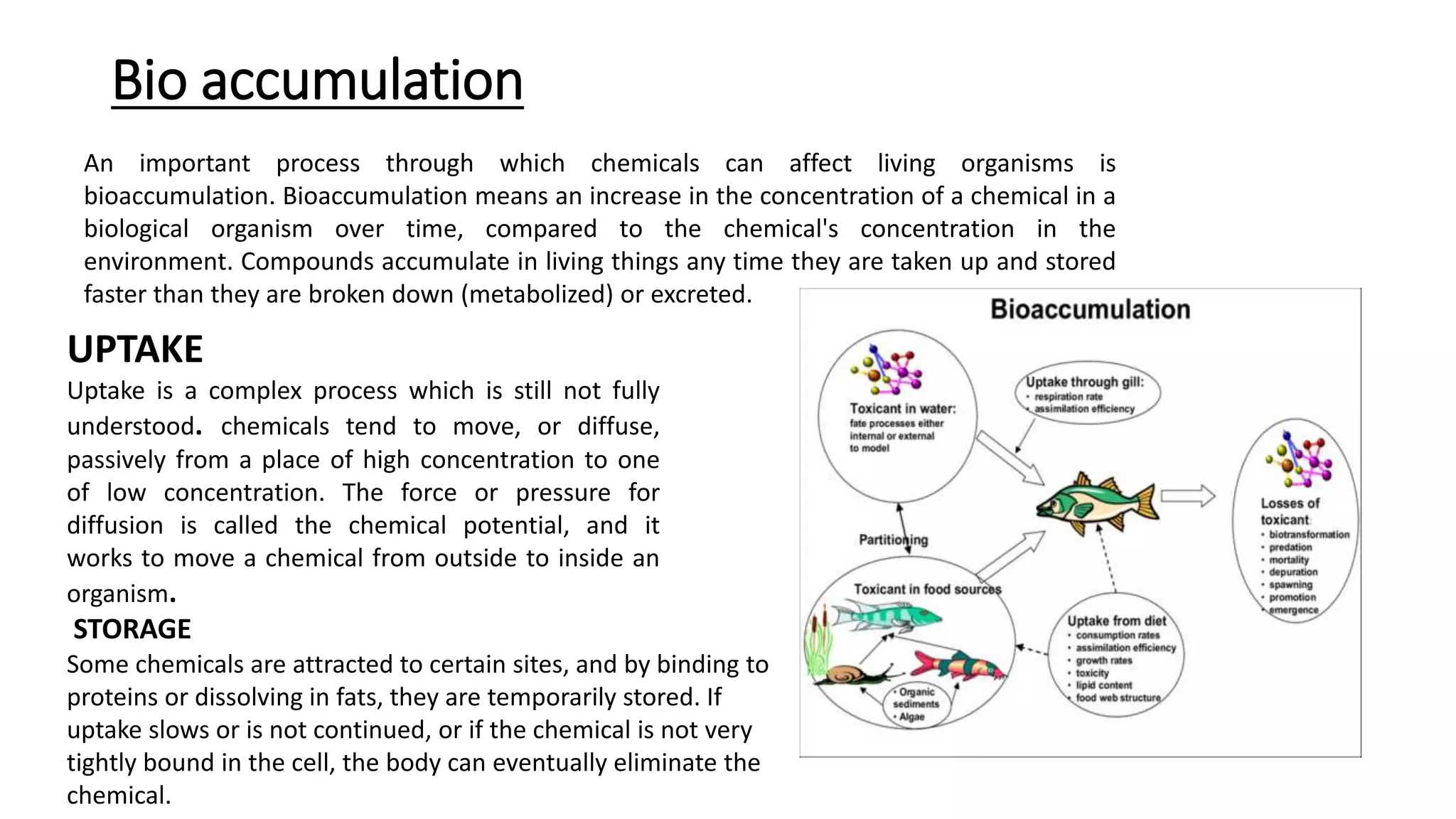Biodegradation.pptx