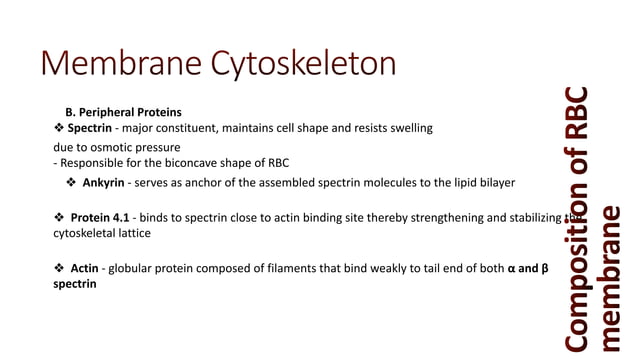 ABO Blood Type Incompatibility | PPTX