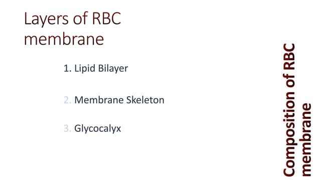 ABO Blood Type Incompatibility | PPTX