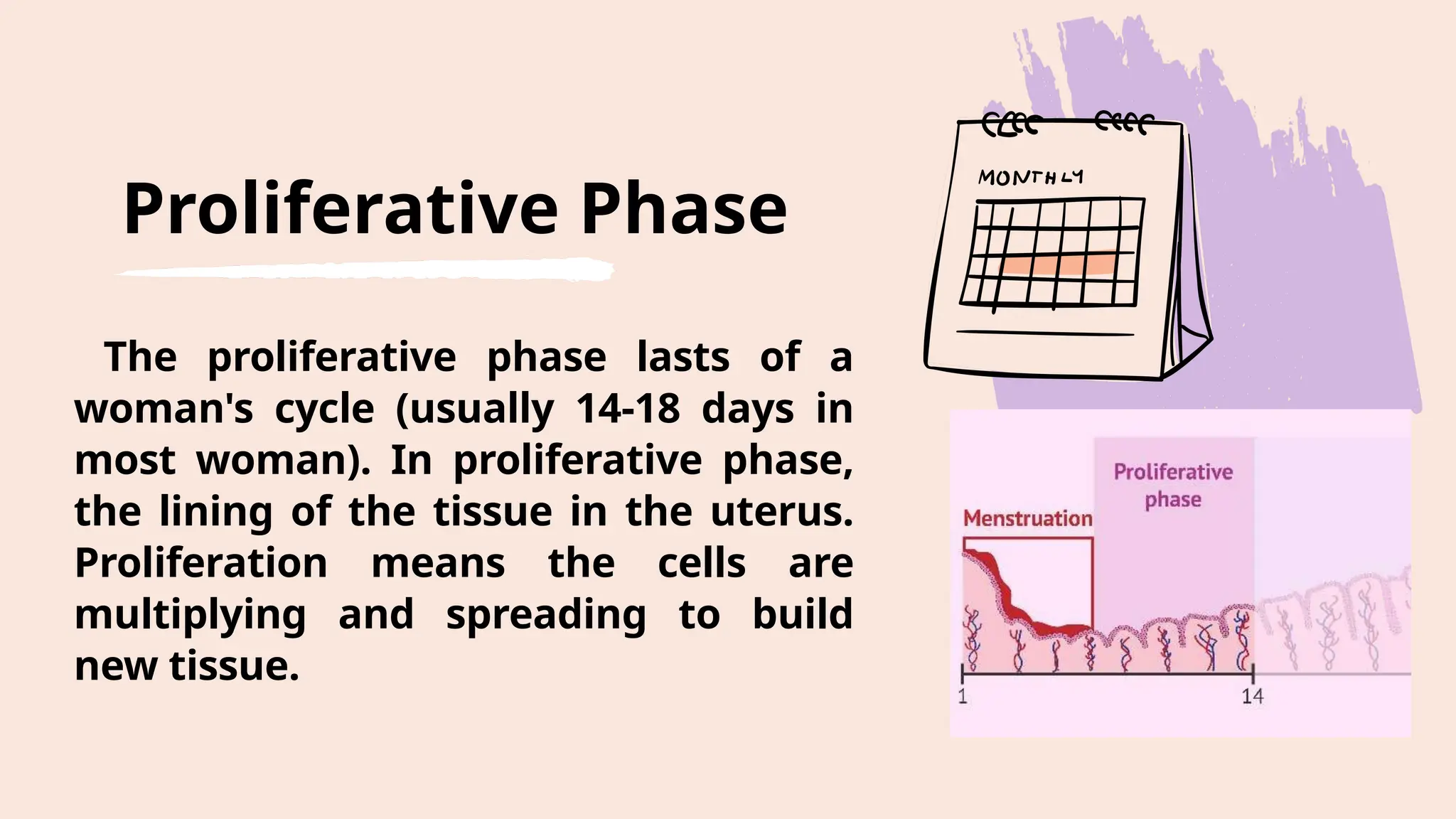 GROUP2-BIOMEDICAL-PERSPECTIVE-IN-GENDER-AND-SOCIETY.pptx