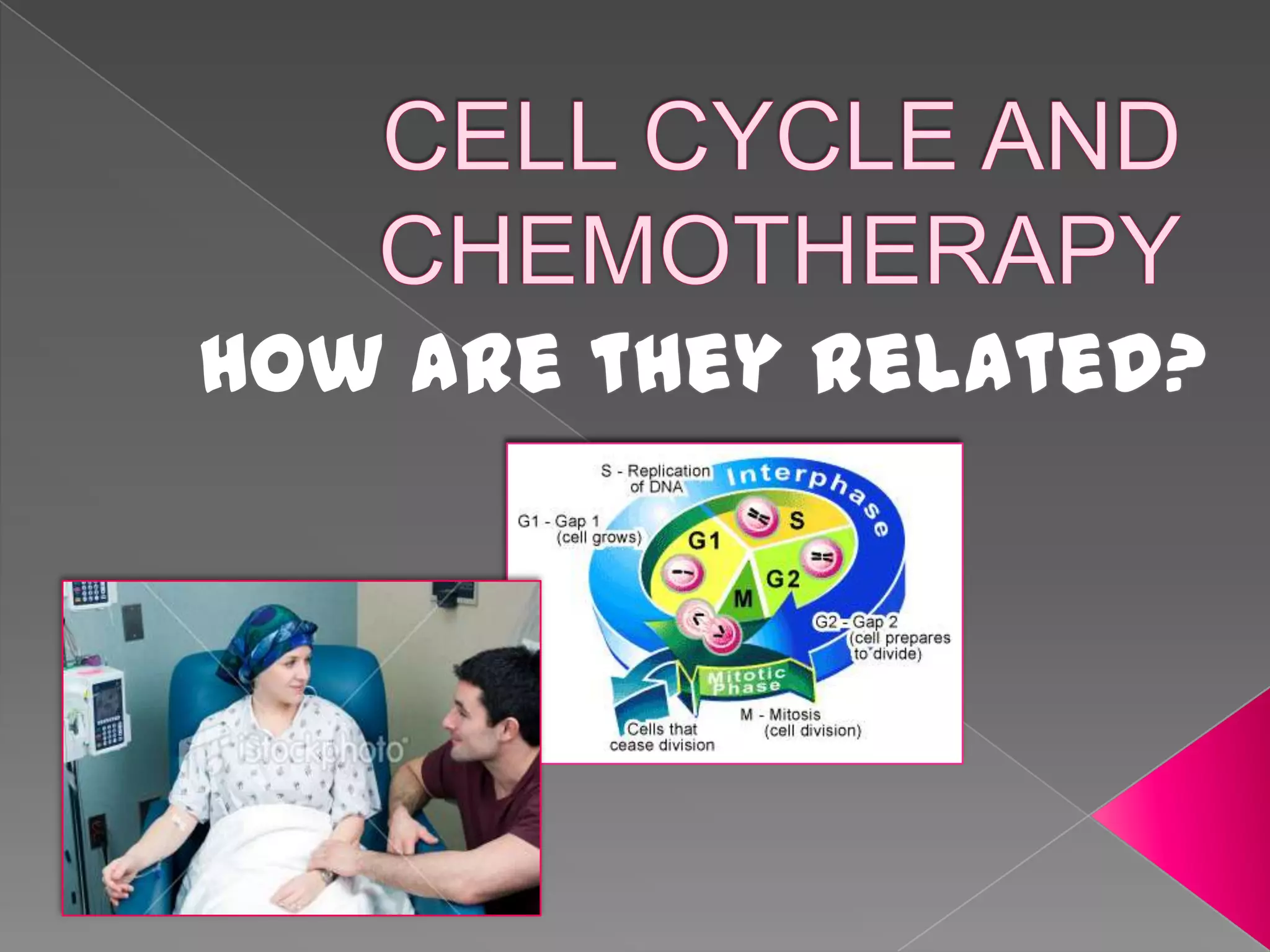 Group 2 - cell cycle and chemotherapy | PPTX