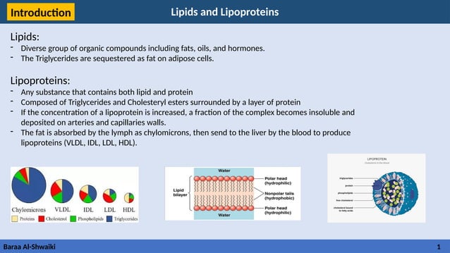 how the Lipid profile testing is done in lab | PPT