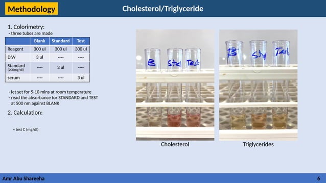 how the Lipid profile testing is done in lab | PPT
