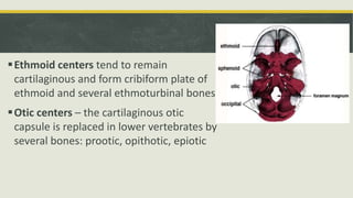 Comparative Anatomy - Skeletal System | PPTX