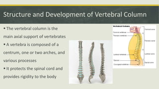 Comparative Anatomy - Skeletal System | PPTX