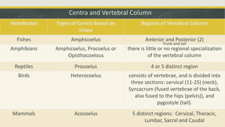 Comparative Anatomy - Skeletal System | PPTX