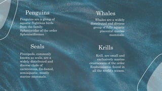 Group 2-Vast World Ocean ppt for earth science.pptx