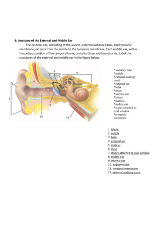 Group 2 activity6 | PDF