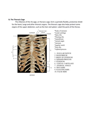 Group 2 activity6 | PDF