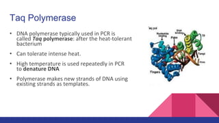 Application of molecular tools in environmental engineering (with ...