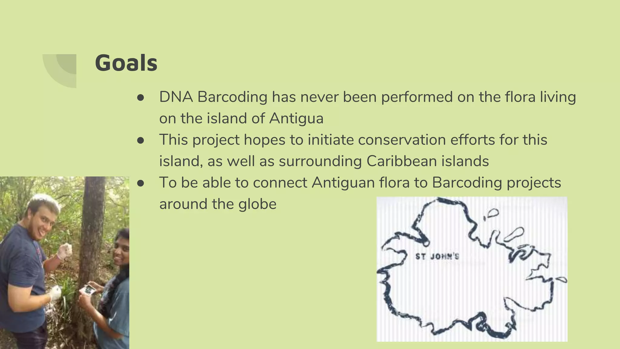 Group 2 AUA DNA barcoding project | PPT