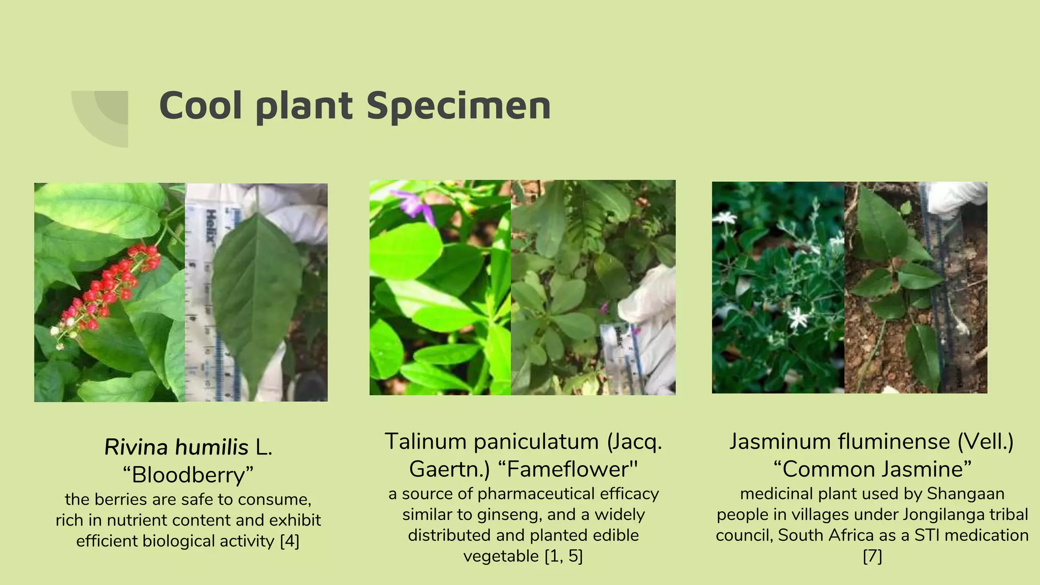 Group 2 AUA DNA barcoding project | PPT