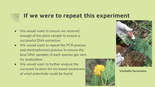 Group 2 AUA DNA barcoding project | PPT