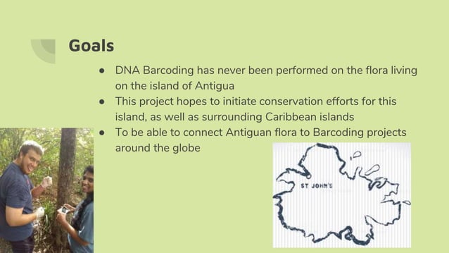 Group 2 AUA DNA barcoding project | PPT