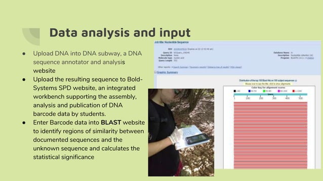 Group 2 AUA DNA barcoding project | PPT