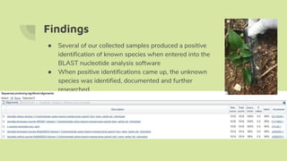 Group 2 AUA DNA barcoding project | PPT