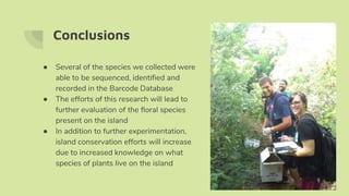 Group 2 AUA DNA barcoding project | PPT