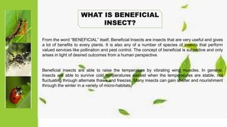 GROUP_2_Benefecial_Insect_on_Leafy_Vegetables__(1).pptx | Beekeeping ...