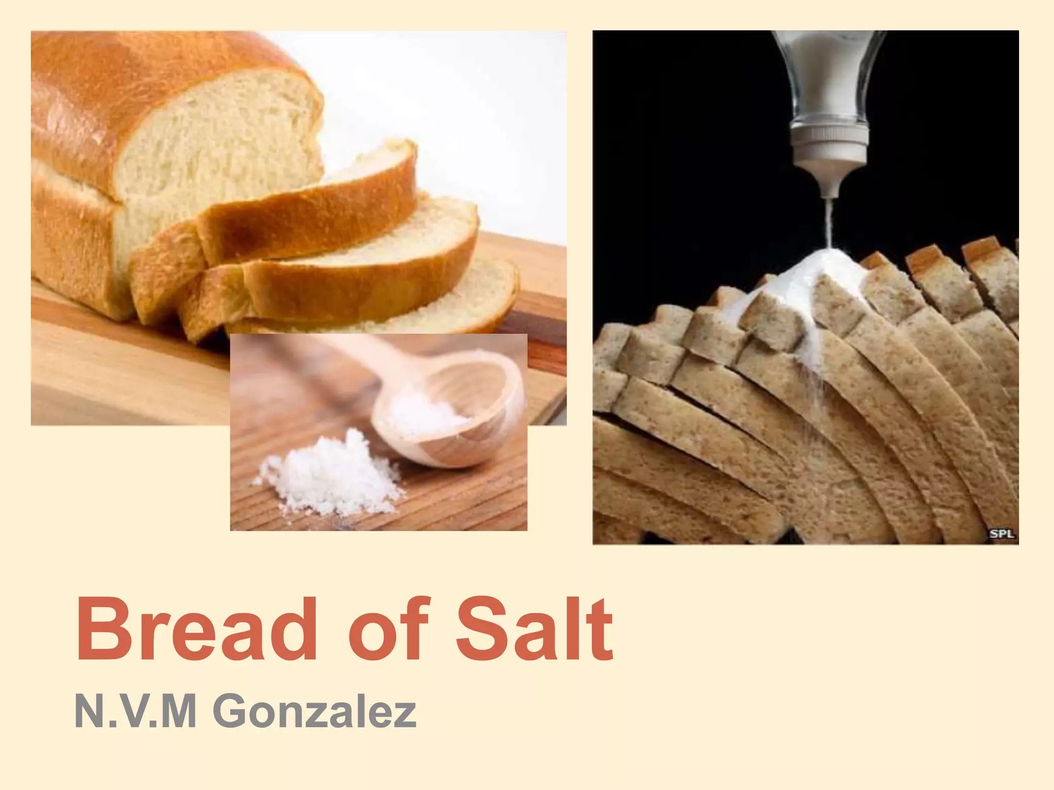 Bread of Salt by N.V.M Gonzales | PPTX