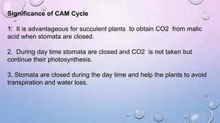 GROUP 2 CAM FINAL doc 1.pptx