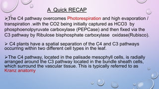 GROUP 2 CAM FINAL doc 1.pptx