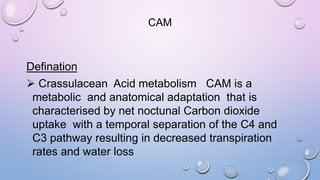 GROUP 2 CAM FINAL doc 1.pptx