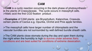 GROUP 2 CAM FINAL doc 1.pptx