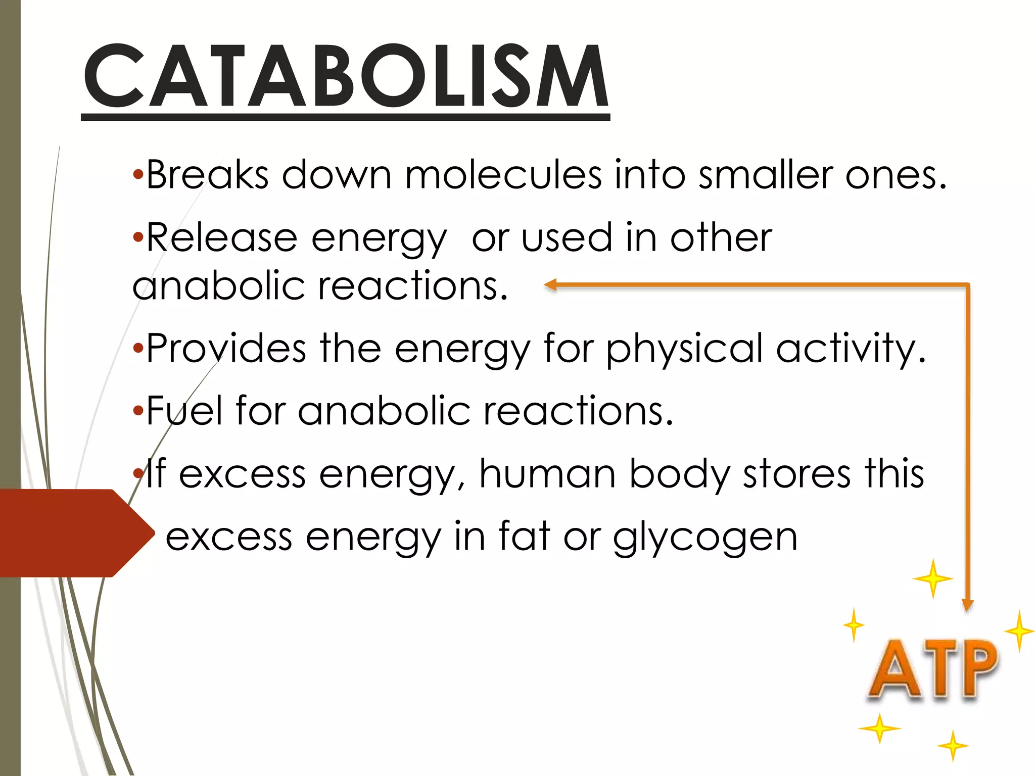 (Group2)catabolism | PPTX