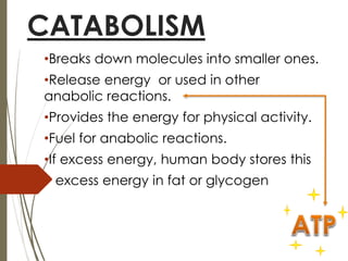 (Group2)catabolism | PPTX