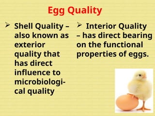 Group 2_EGG QUALITY.ppppppppppppppppppptx | PPTX
