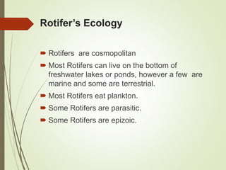 Rotifera | PPTX