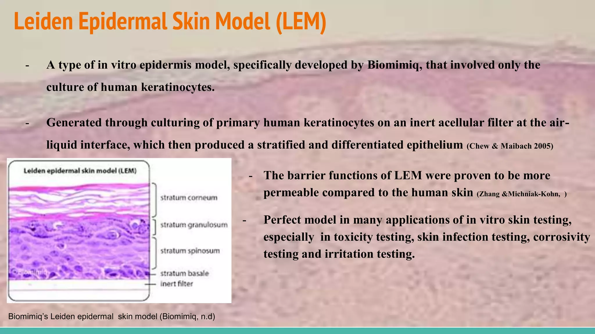 Group 2 (keratinocyte monolayer culture, LEM and FTM) | PPTX