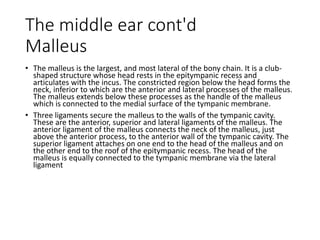 Group 2 Medsurg ppt on Anatomy and physiology of ear-1.pptx