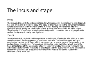 Group 2 Medsurg ppt on Anatomy and physiology of ear-1.pptx