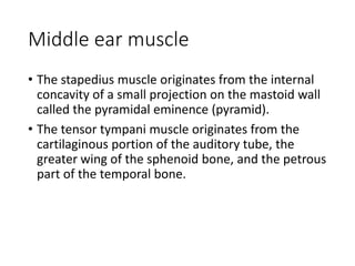 Group 2 Medsurg ppt on Anatomy and physiology of ear-1.pptx