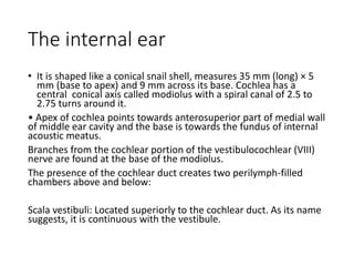 Group 2 Medsurg ppt on Anatomy and physiology of ear-1.pptx