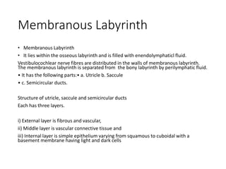Group 2 Medsurg ppt on Anatomy and physiology of ear-1.pptx