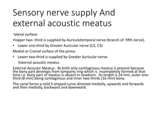 Group 2 Medsurg ppt on Anatomy and physiology of ear-1.pptx
