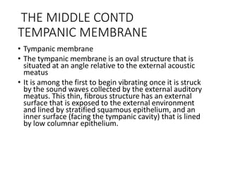 Group 2 Medsurg ppt on Anatomy and physiology of ear-1.pptx