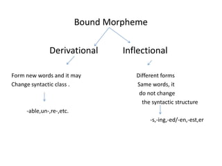 Introduction of Morphology | PPT