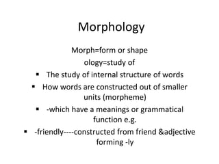 Introduction of Morphology | PPT