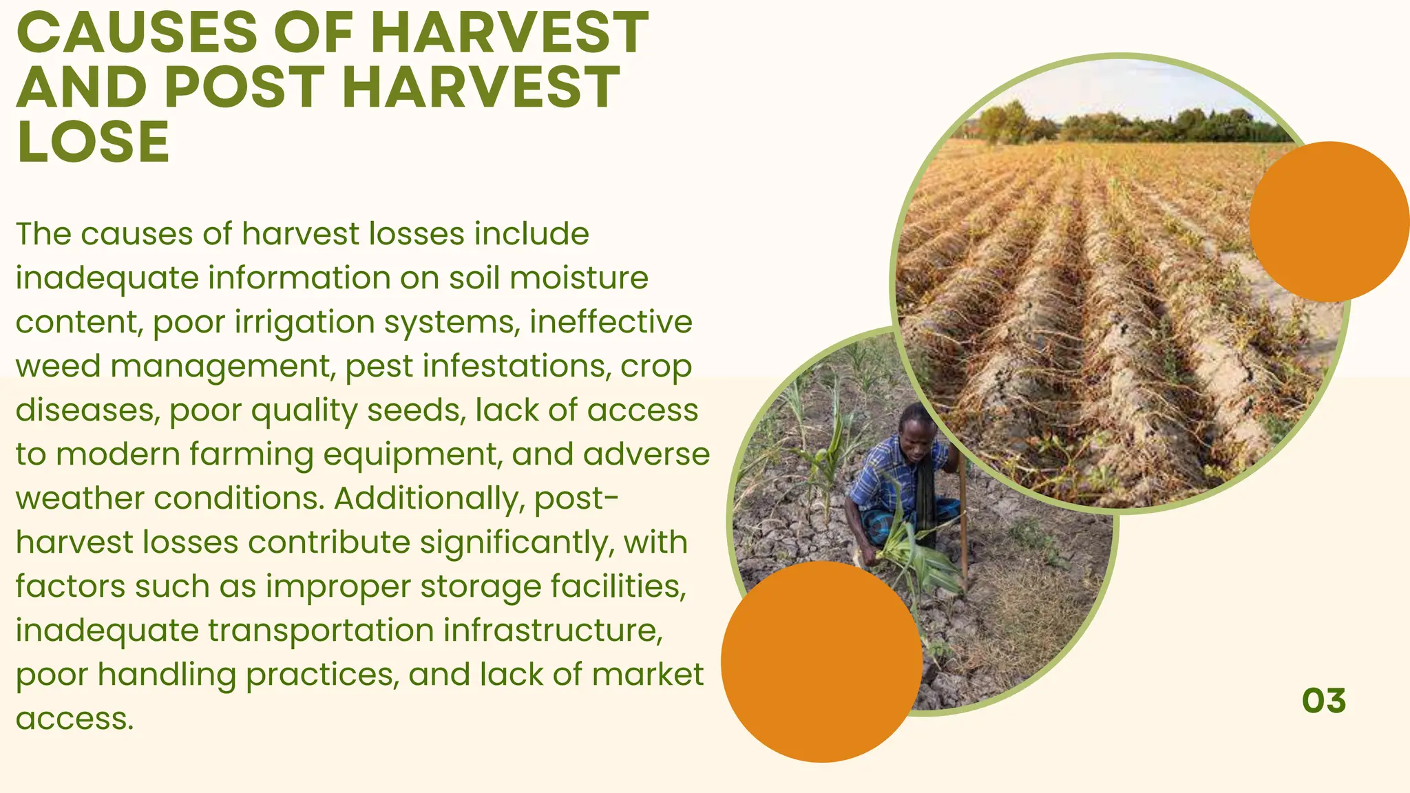 Agri-Kinetic Energy Harvesting Paths PPT | PPTX