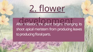 GROUP 2 PRESENTATION .pptx from agricrop | PPTX