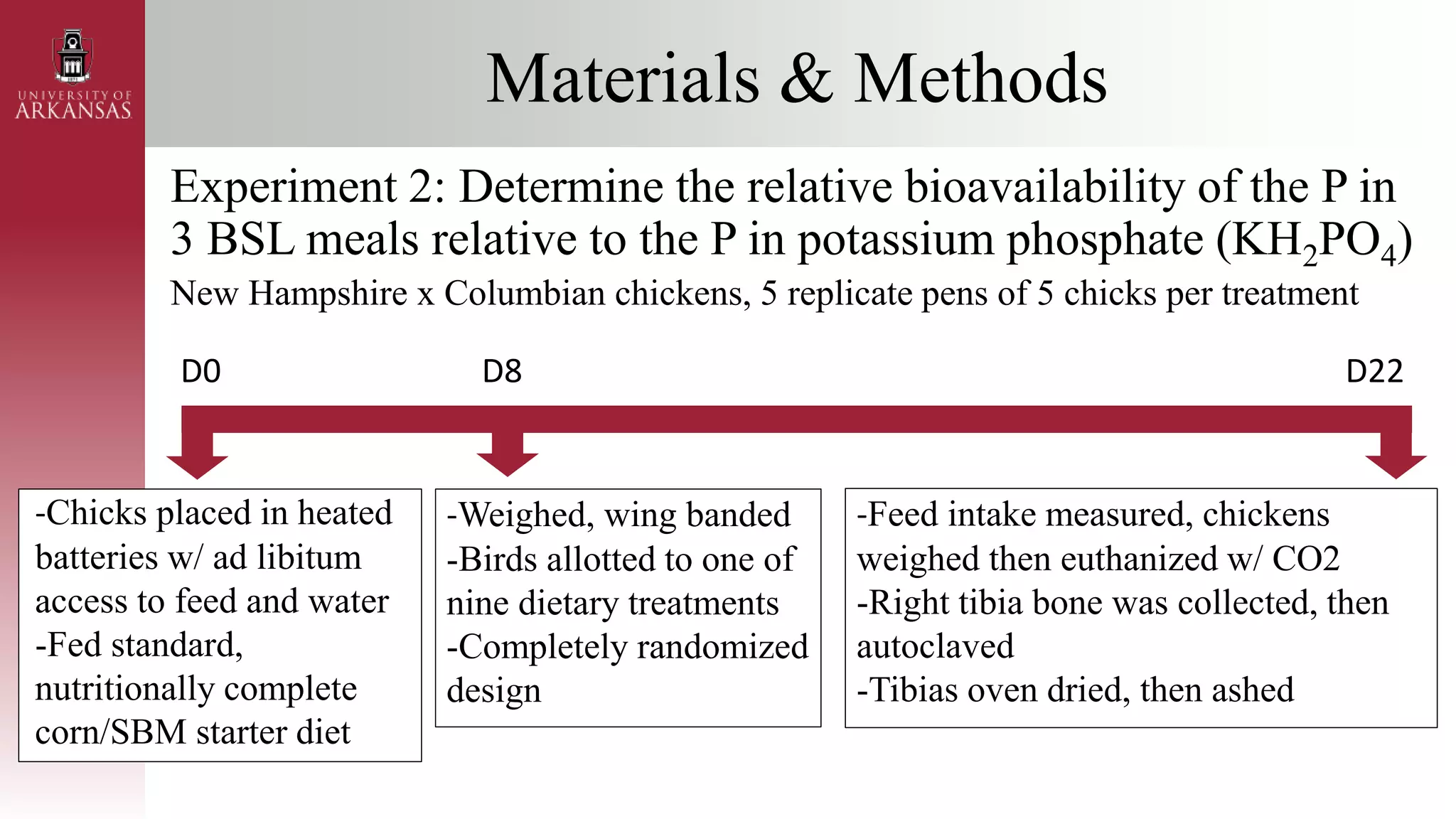 Phosphorus digestibility and relative phosphorus bioavailability in two ...