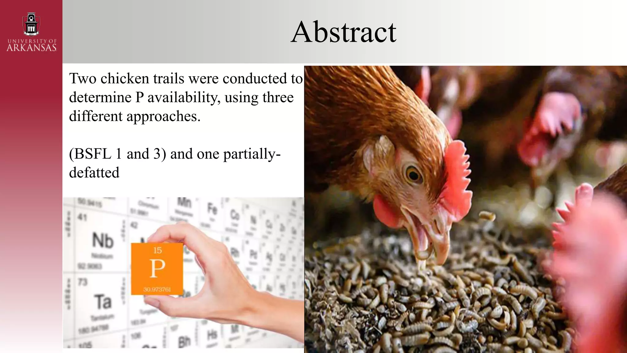 Phosphorus digestibility and relative phosphorus bioavailability in two ...
