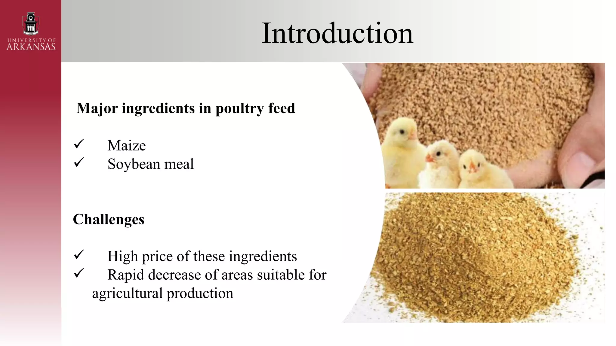 Phosphorus digestibility and relative phosphorus bioavailability in two ...