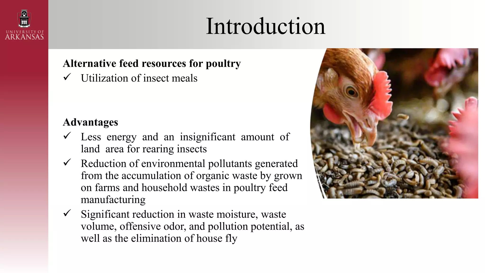 Phosphorus digestibility and relative phosphorus bioavailability in two ...
