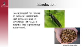 Phosphorus digestibility and relative phosphorus bioavailability in two ...