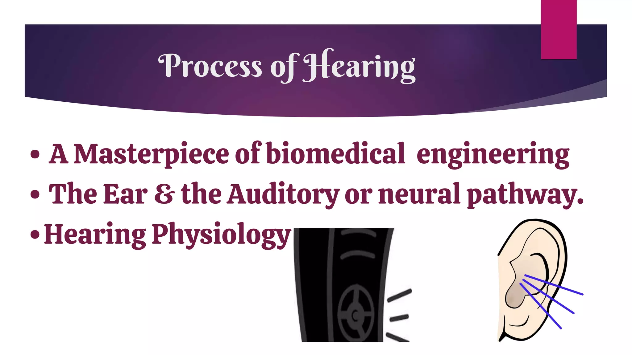 Process of Hearing | PPTX